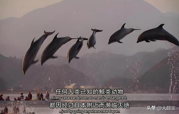 血色海豚湾截图