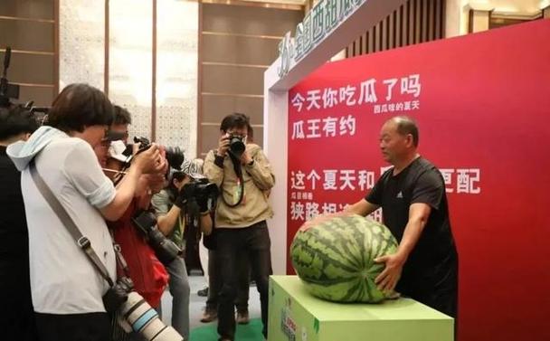 西瓜刷人气截图
