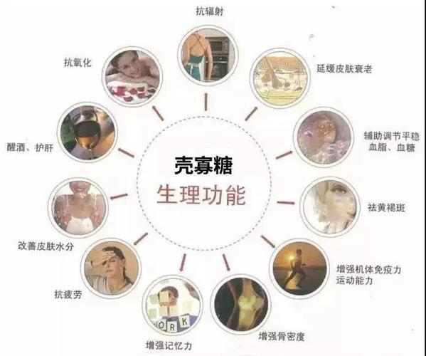 壳寡糖的功效与作用图标
