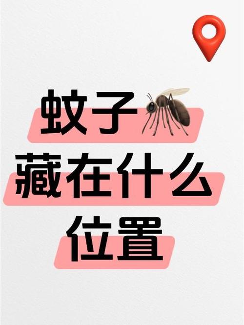 蚊子喜欢躲在哪里图标