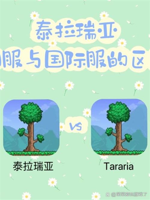 泰拉瑞亚国际服卡箱子图标