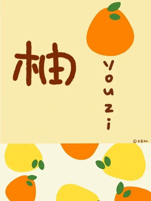 柚子壁纸图标