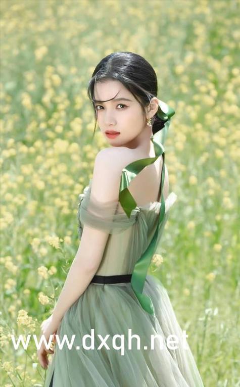 旧版本豆豆视频图标