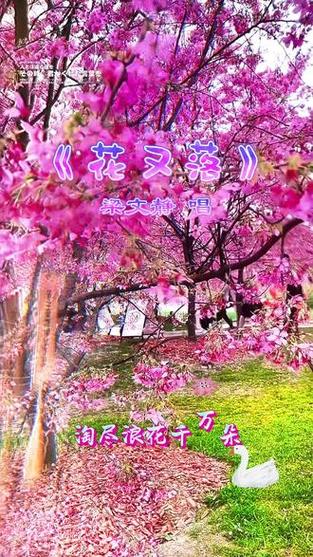 赏花最火的十首歌图标