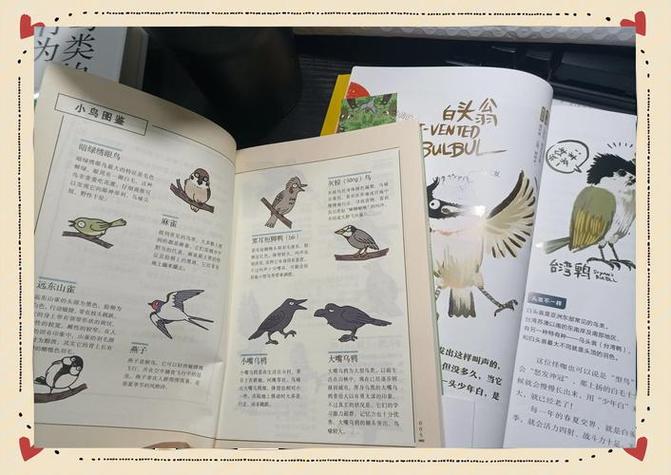 鸟的生长过程示意图图标