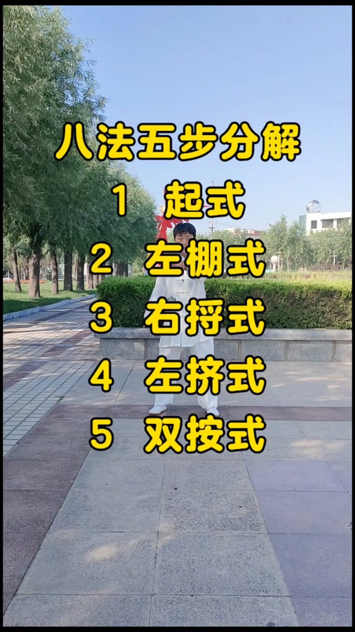 太极八法五步分解教学视频游戏截图