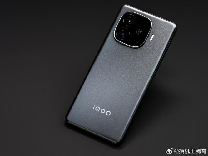 性能狗手机版图标