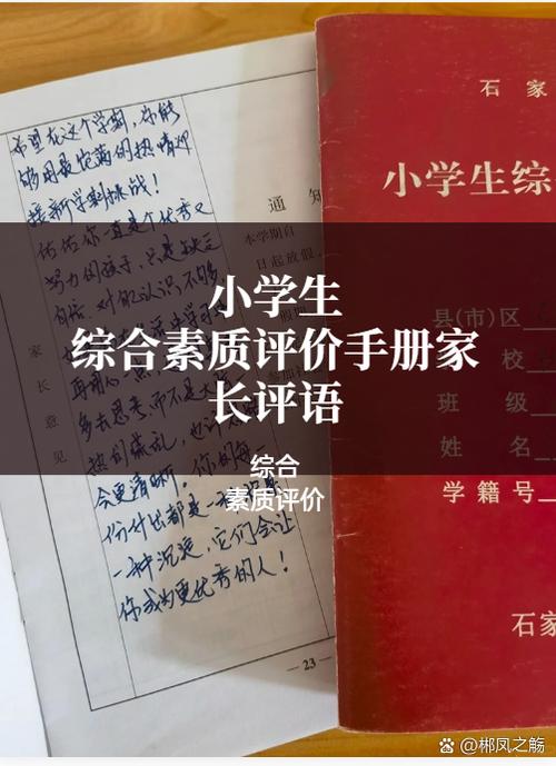 学生成长计划自评评语截图