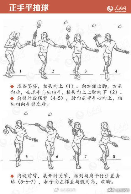 打羽毛球的视频教程图标