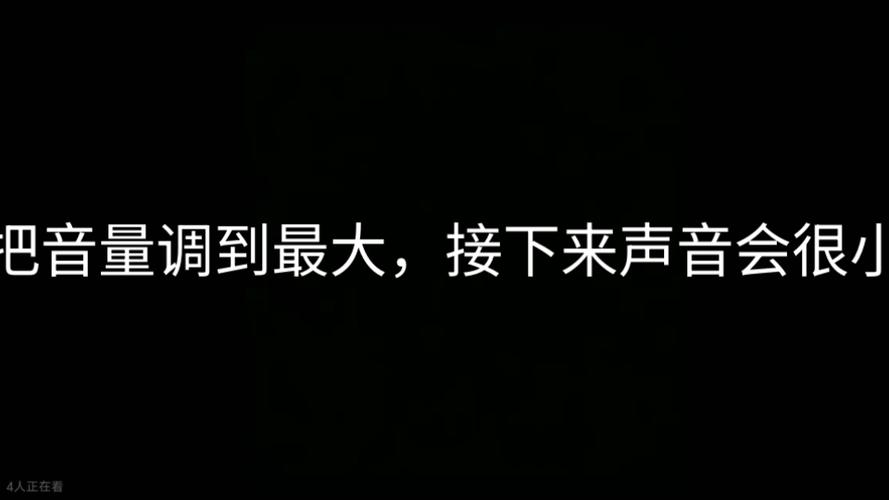 把音量调最大 有话对你讲