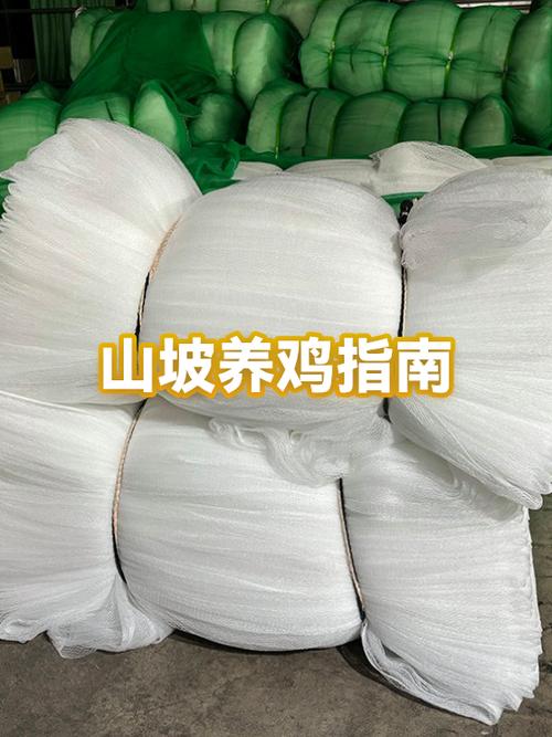 山上养鸡怎样搭鸡棚图标