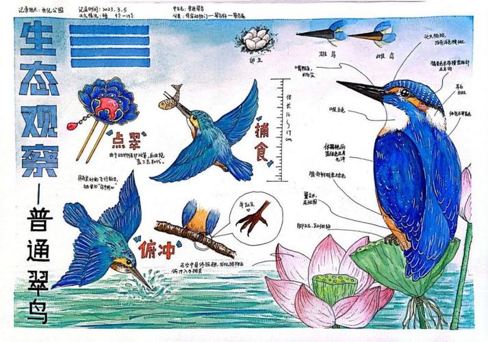 《翠鸟》阅读理解图标