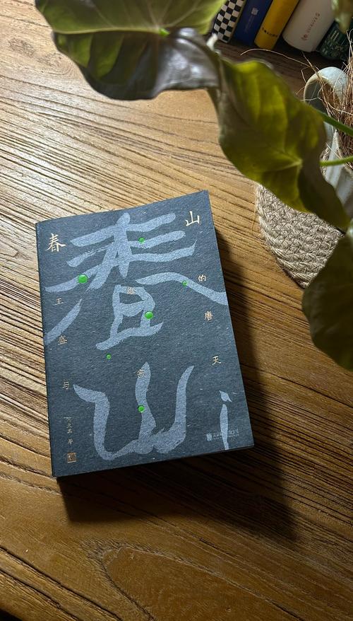 再赴春山暗示什么图标