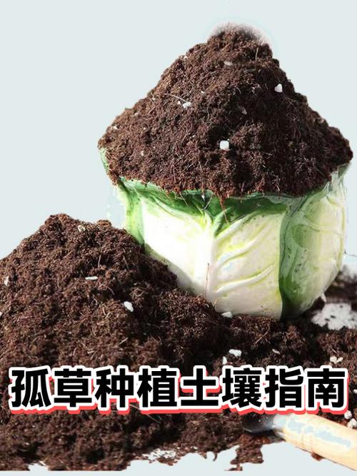 水草用沙子种好还是用泥土好截图