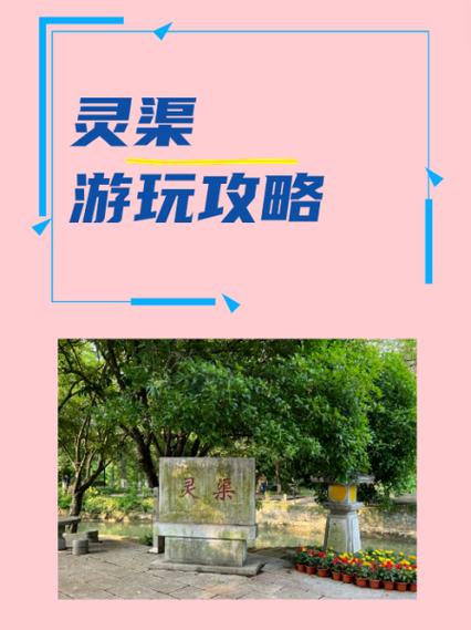 乐看点官网图标