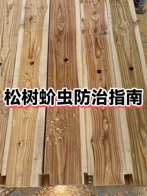 草履蚧用什么农药图标