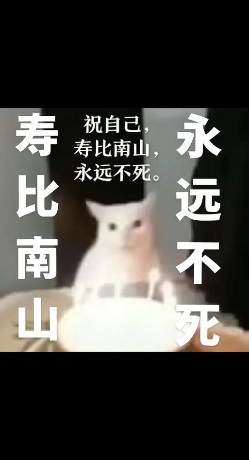 still alive翻译成中文