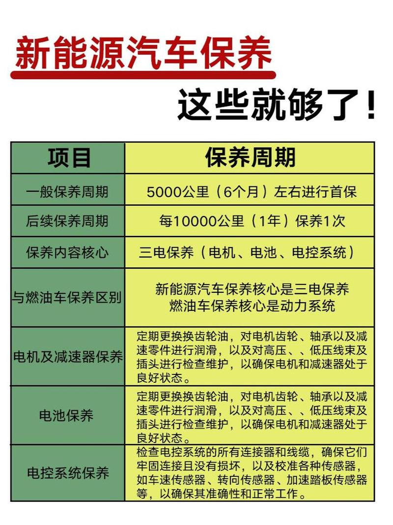中国允许养黑豹吗图标