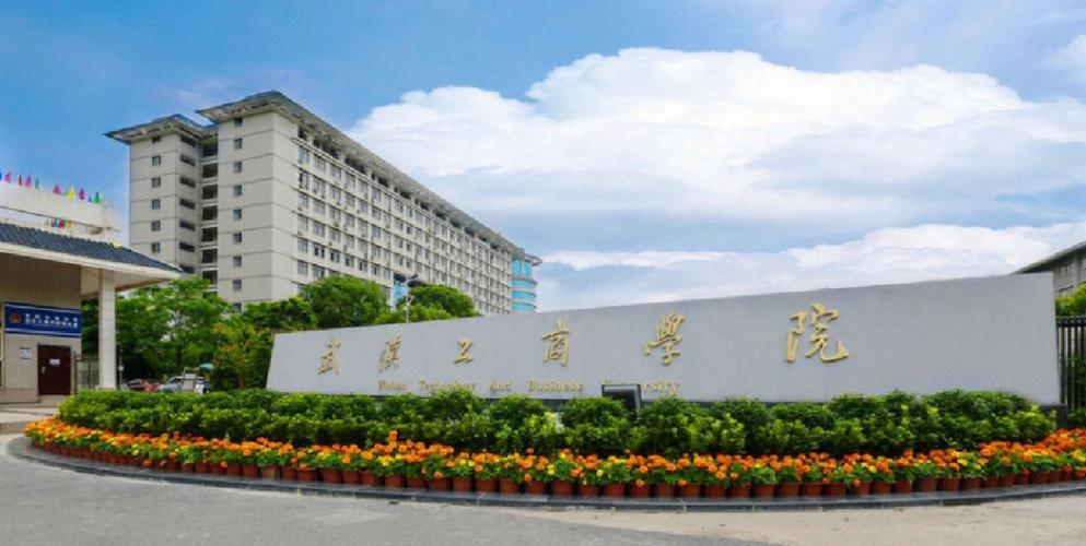 武汉工商学院是图标