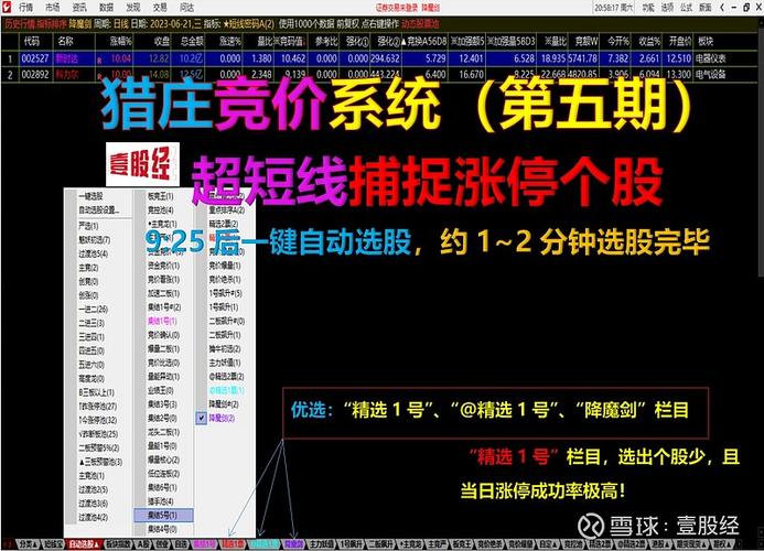 电子竞价系统截图