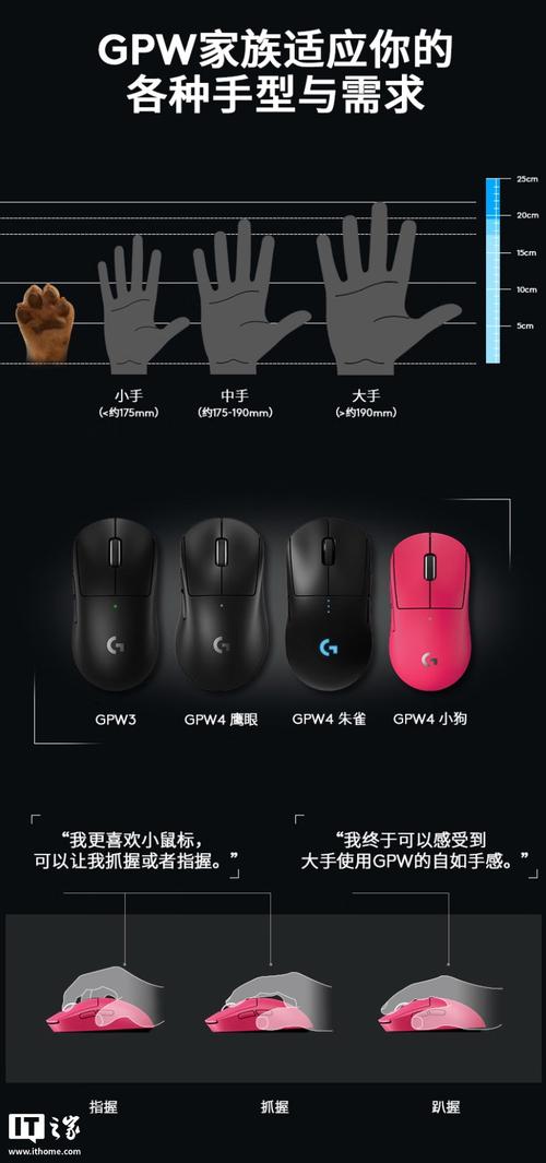派派65004官方下载图标