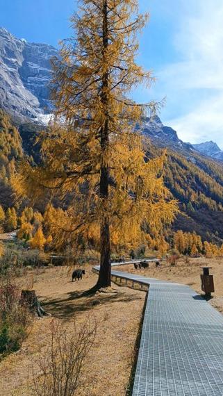 风景照片真实图标