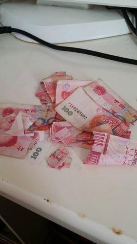 钱撕了粘上还能用吗图标