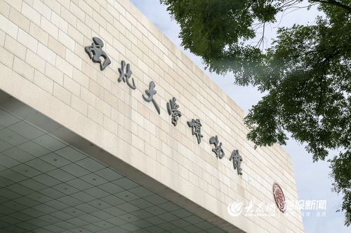 日照教育官网入口图标