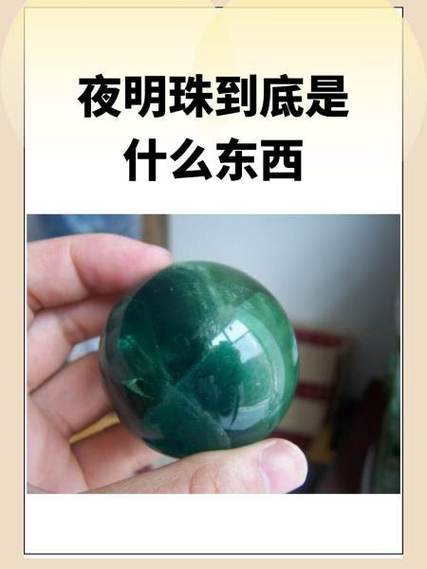 夜明猪是什么意思图标