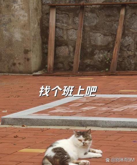 天天关在房间的人正常吗