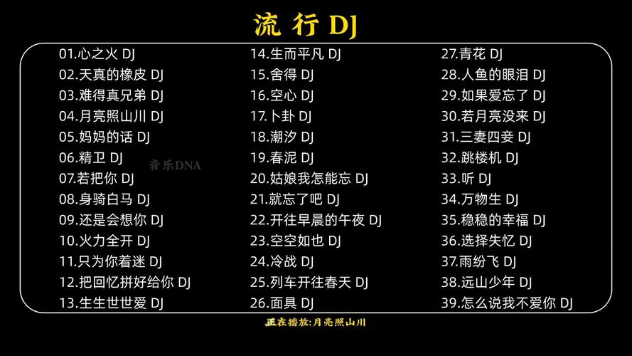 dj08098 小马哥dj串烧中文图标