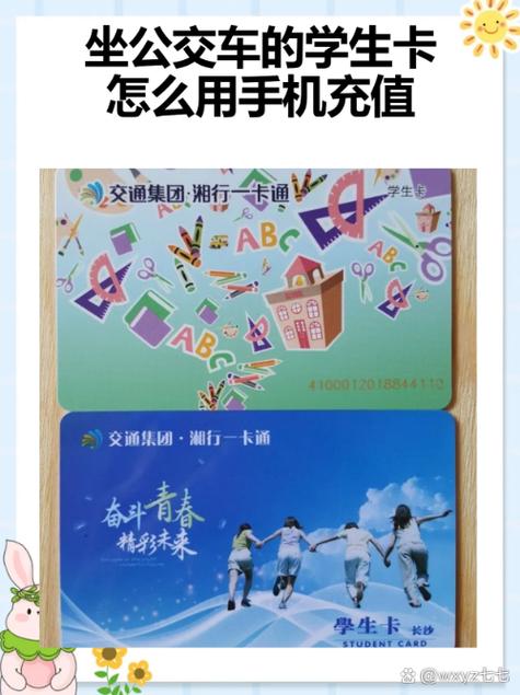 支付宝如何绑定校园卡一卡通图标