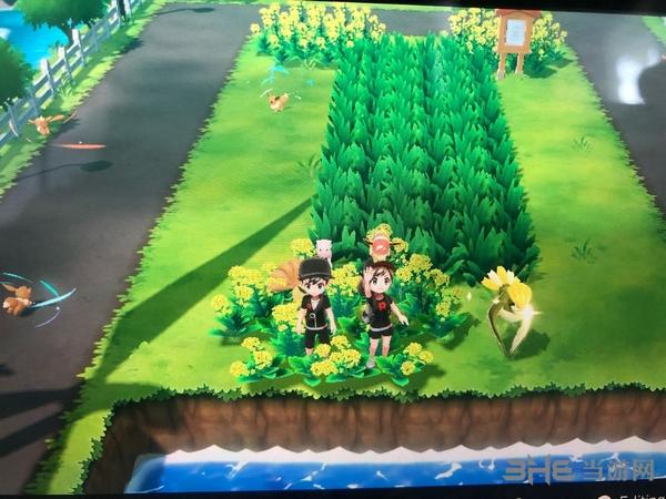 精灵宝可梦letsgo闪符图标