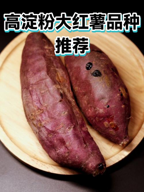 高产淀粉红薯第一名图标