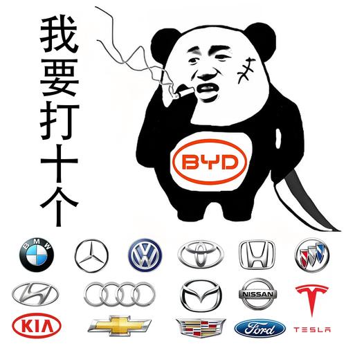比亚迪表情包图标