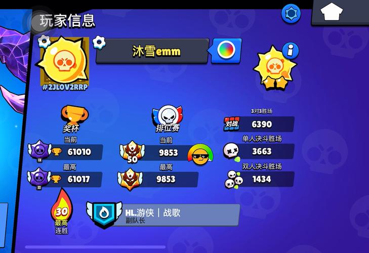 荒野乱斗登录以前账号图标