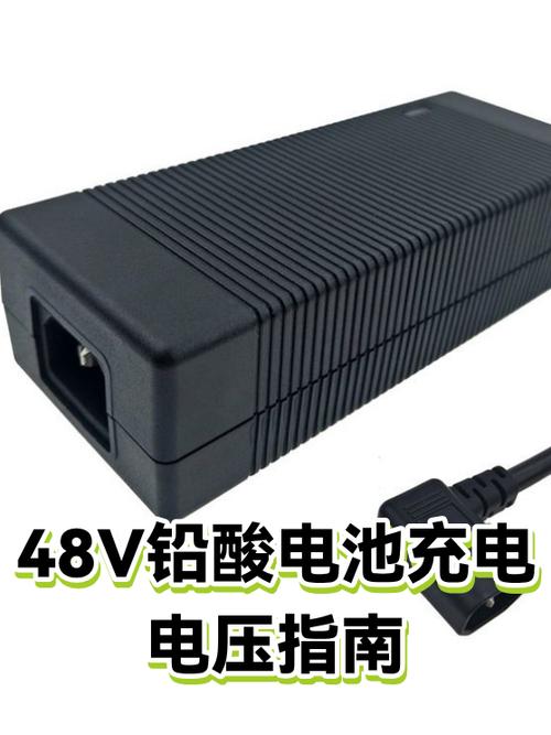 48v电瓶充电电压多少伏图标