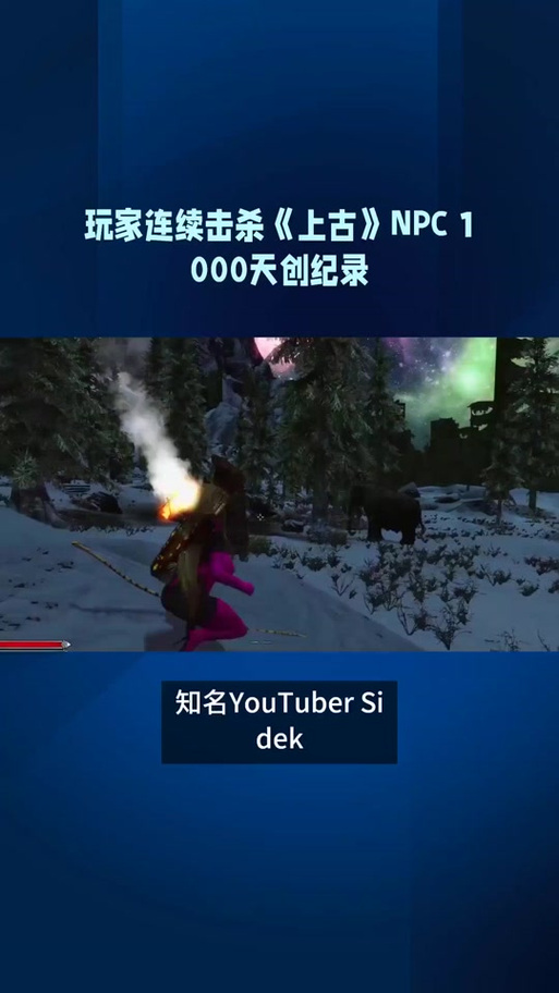 上古卷轴5随从突然不跟随了截图