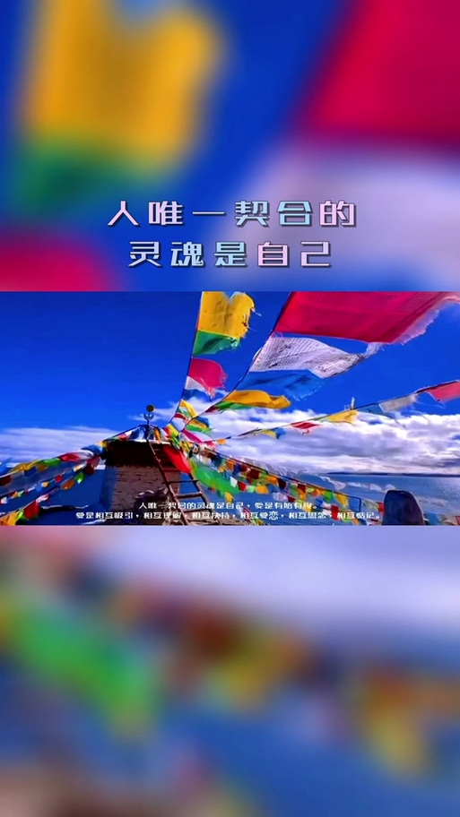 寻找世上唯一契合灵魂图标