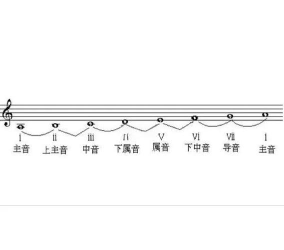 基本音级有哪些图标