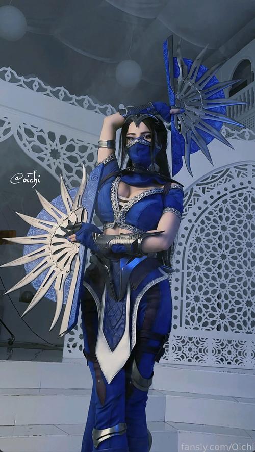 fansly老版本安装包图标