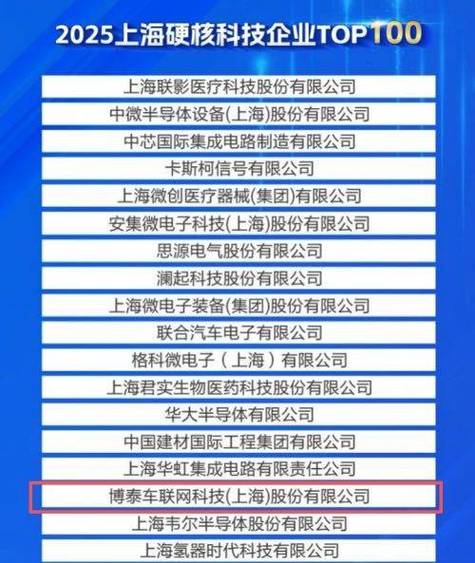上海芯片制造公司排名图标