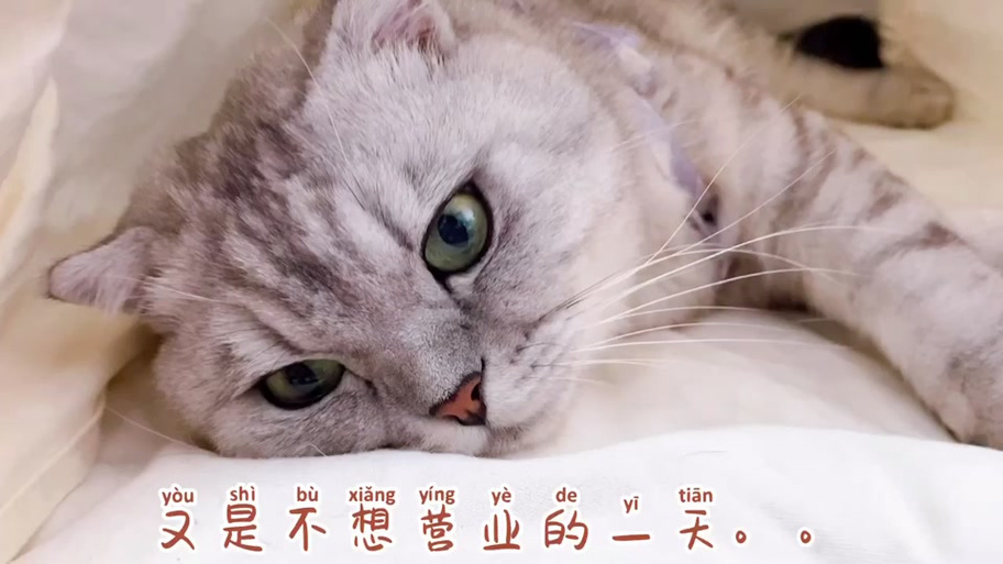 《退圈摆地摊后我爆红了(美食)》:我图标