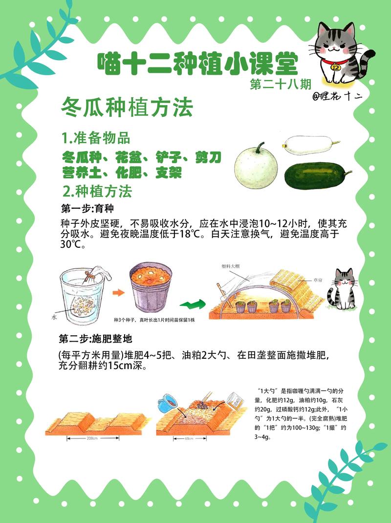 冬瓜如何种植最简单方法图标