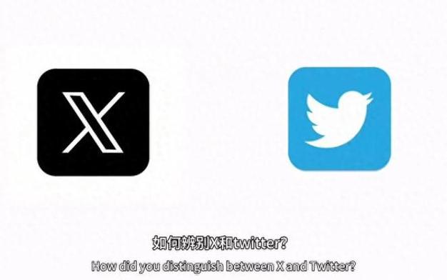 twitter10.5图标