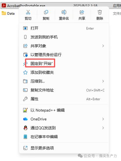 免安装中文正式版是什么意思图标
