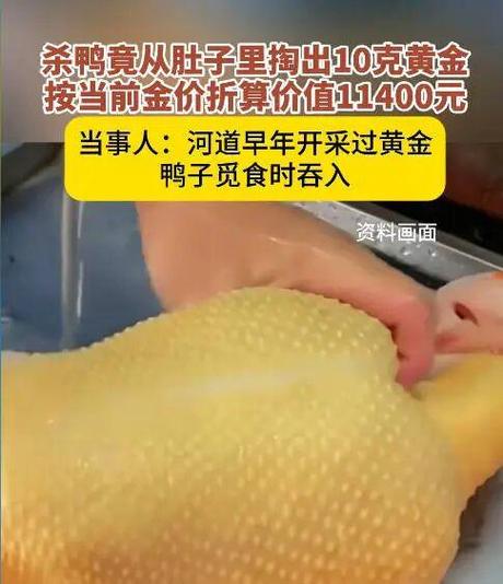 男做鸭能赚多少钱图标