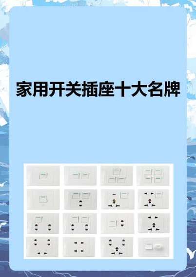 十大名牌开关排名图标