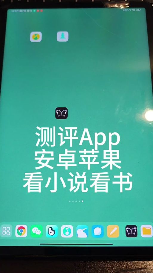 苹果手机看小说听歌会暂停图标