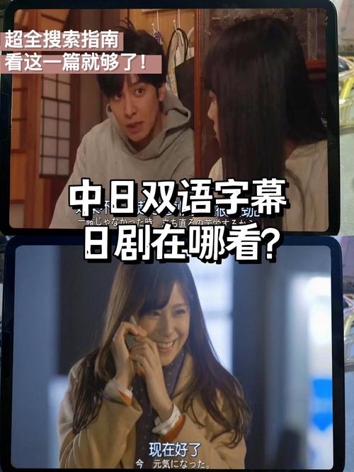 日剧双语字幕